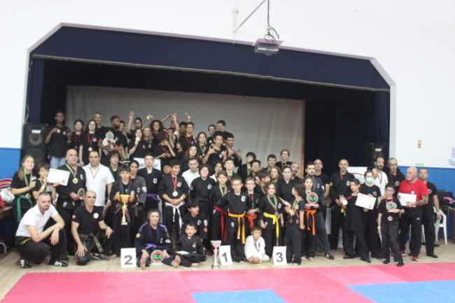 msd ryu budo international association