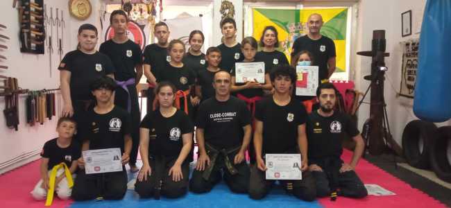 msd ryu budo international association