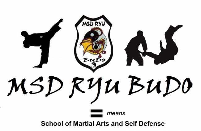 msd ryu budo international association