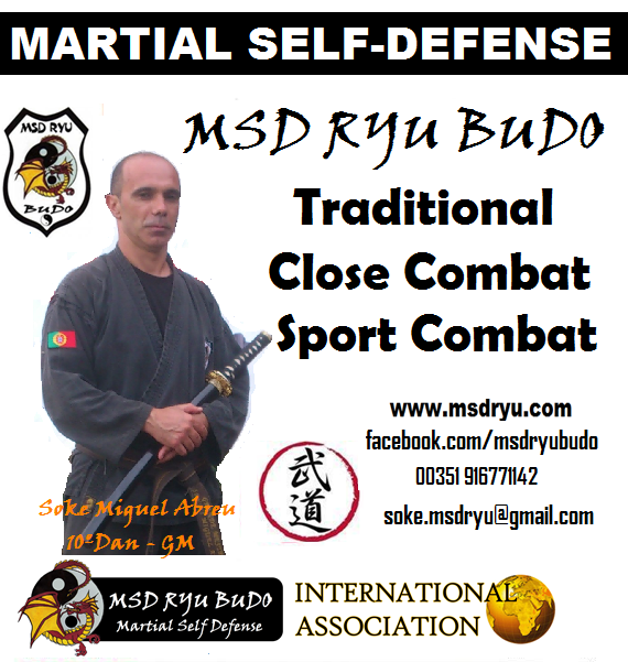 msd ryu budo international association