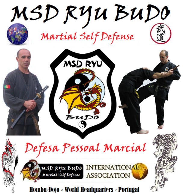 msd ryu budo international association
