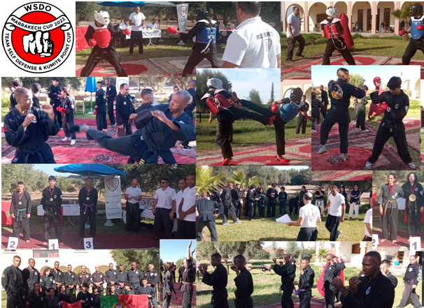 msd ryu budo international association